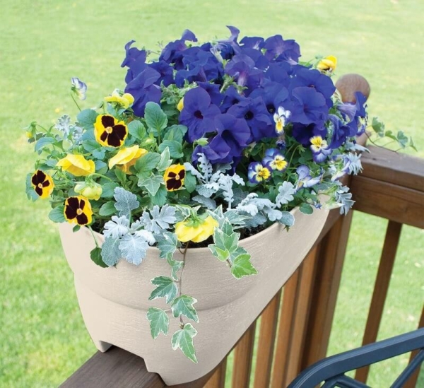 【Top 30+】Các loại hoa bụi đẹp, thơm ngát cho vườn nhà bạn